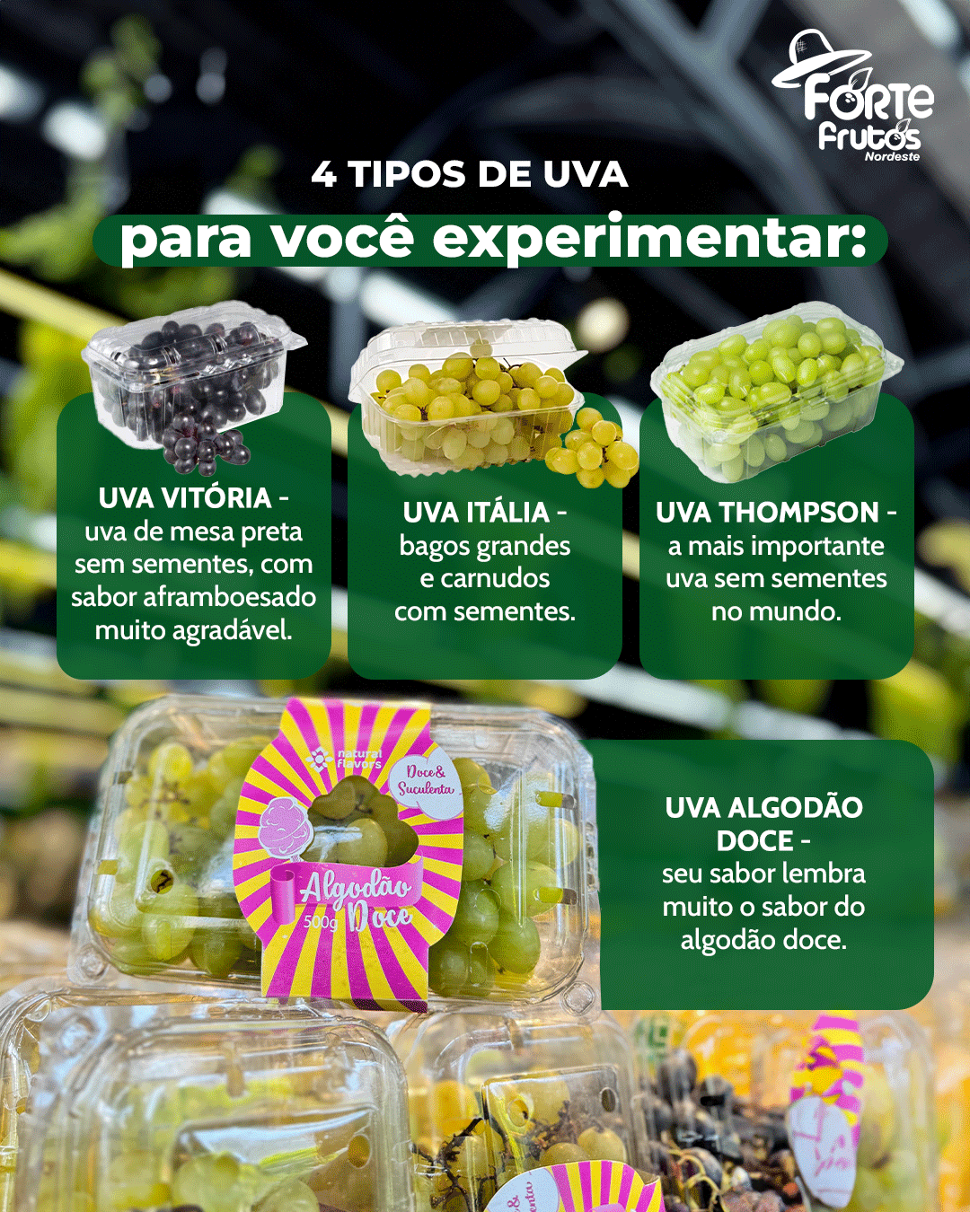 4 TIPOS DE UVA PARA VOCÊ EXPERIMENTAR: UVA VITÓRIA, UVA ITÁLIA, UVA THOMPSON E UVA ALGODÃO DOCE ...